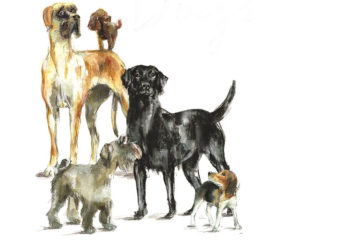 André Alexis - Fifteen dogs | Vijftien honden - Christian Jongeneel